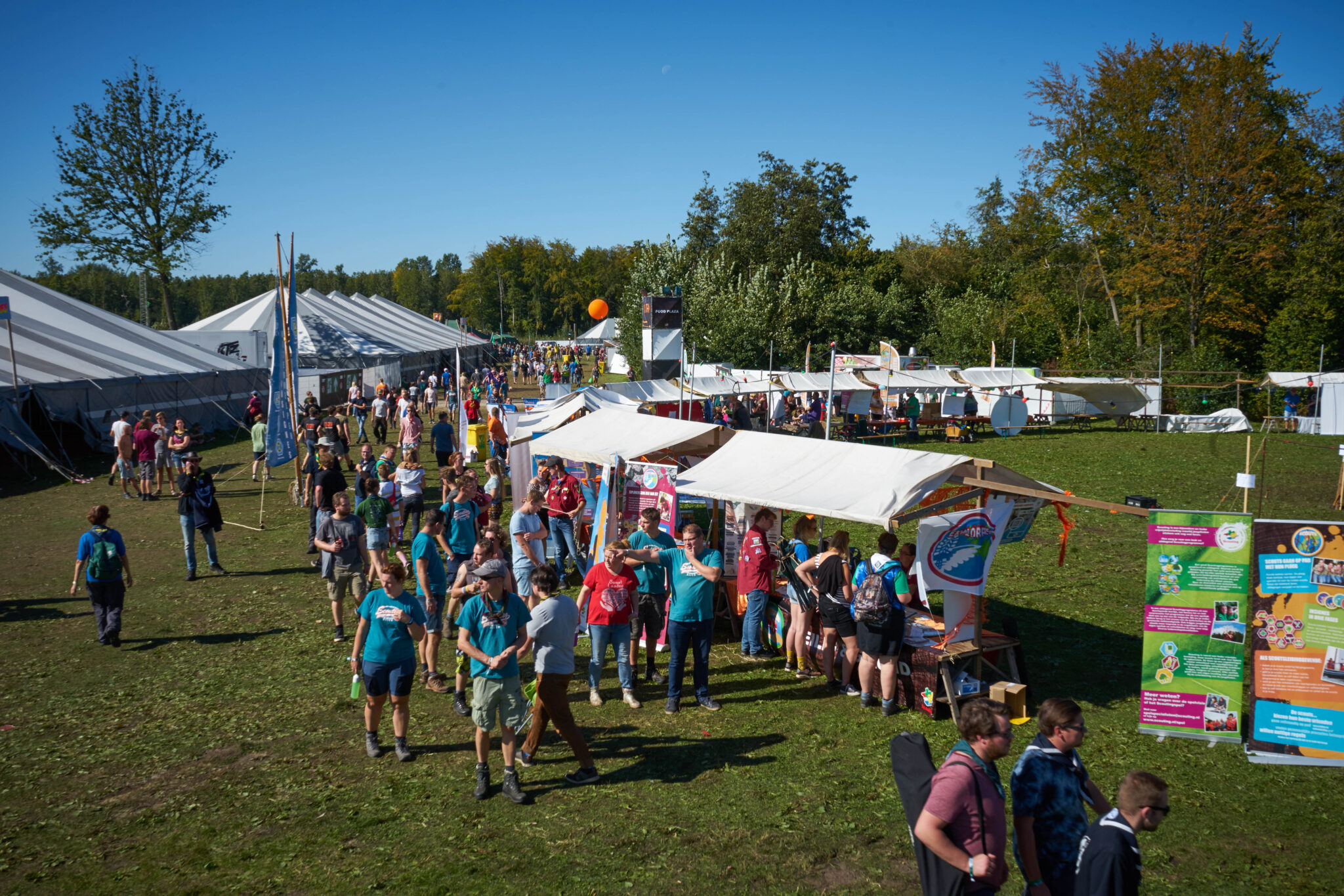 Home - Scout-In25 ... to the Future!